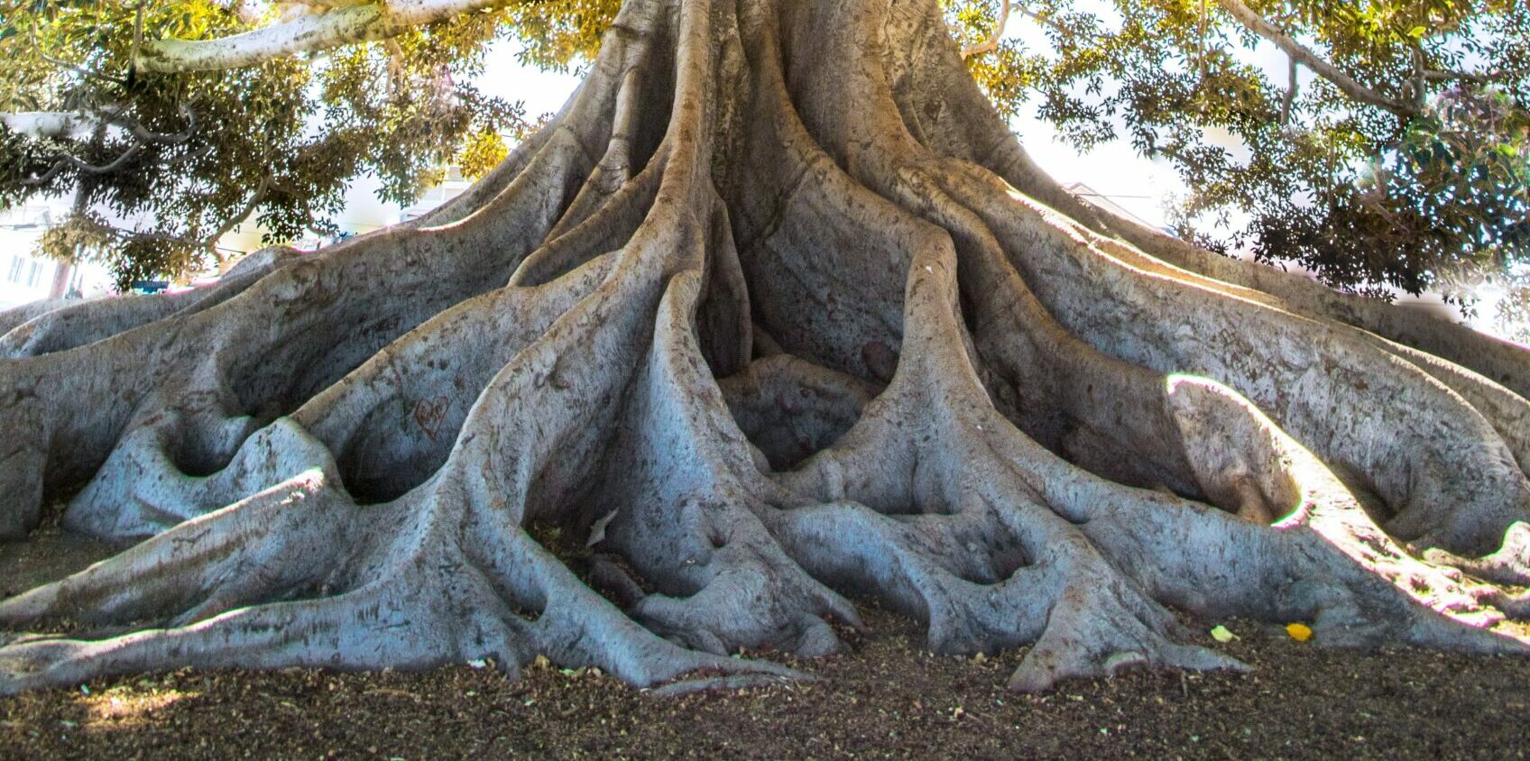 What Creates Kindness? – Sincerely Cliff